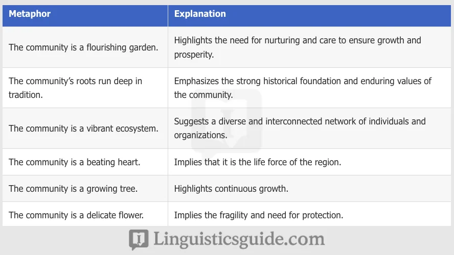 Community as Metaphor: Grammar, Meaning, and Usage